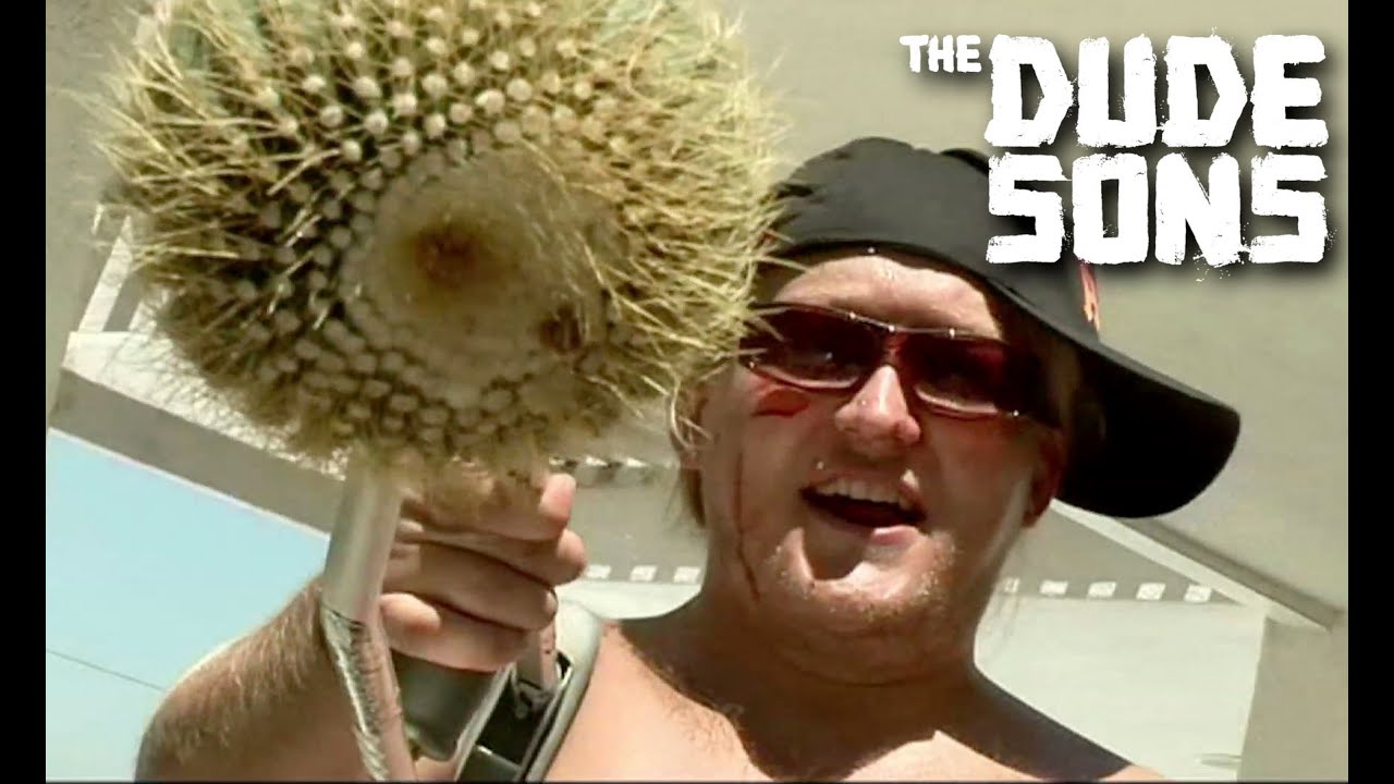 The Cactus Fight!! - YouTube