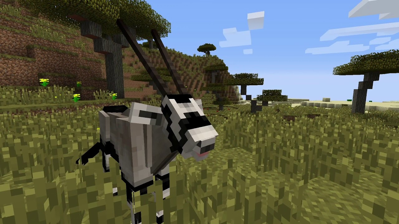 Zoo Craft Mod - YouTube