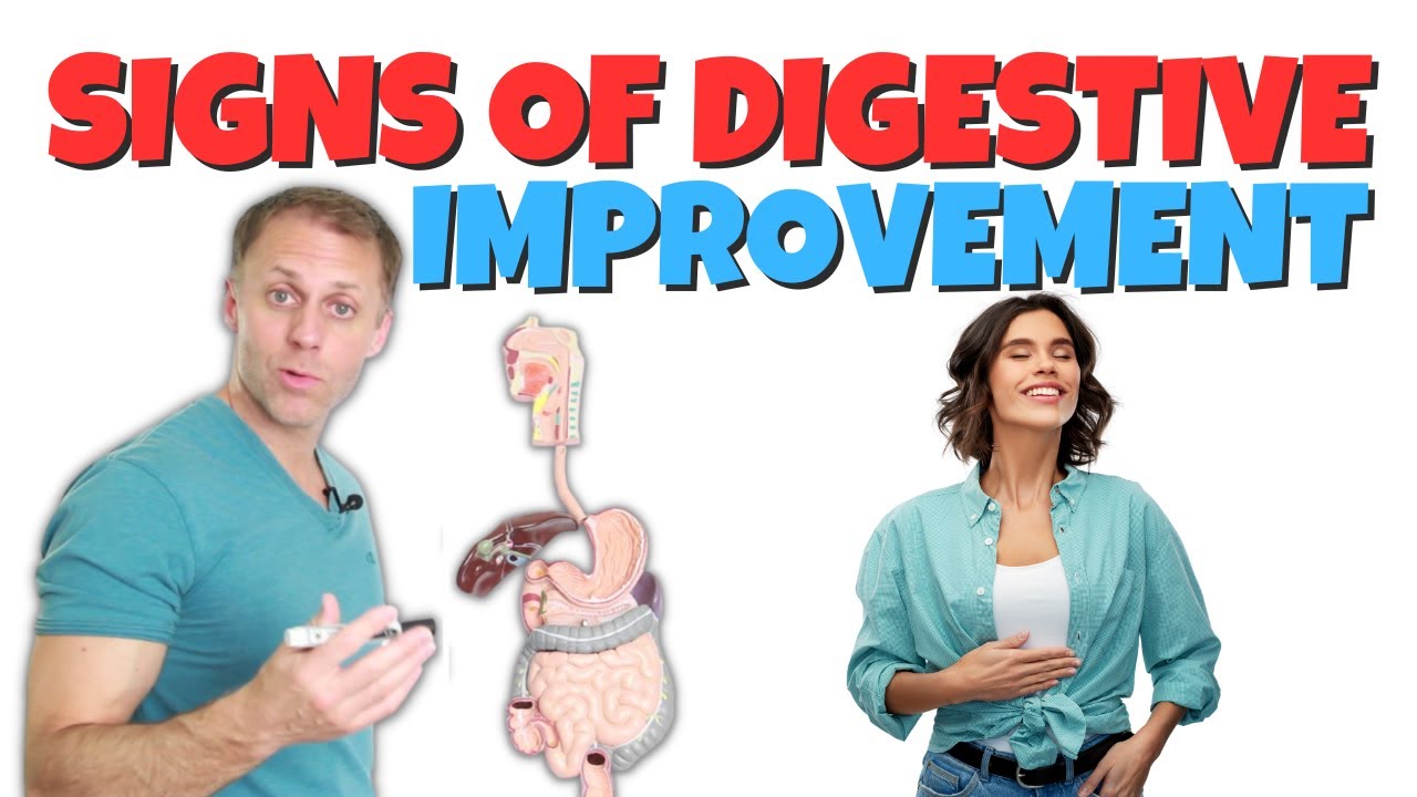 Signs You’re Improving Digestion - YouTube