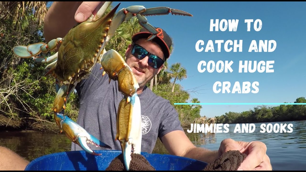 Catch Clean Cook- How to CATCH and PICK CRABS in South Florida - YouTube