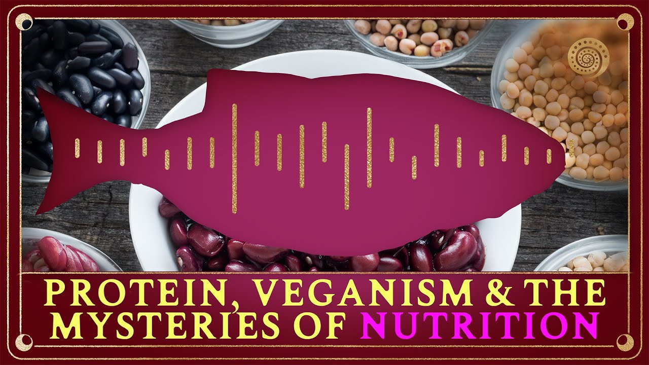 [Ep. 244] I Was Wrong: Protein, Veganism, & The Mysteries Of Nutrition ...