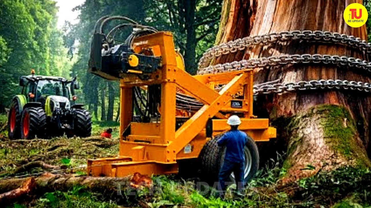Extreme Chainsaw Tree Cutting Machines & Monster Stump Removal ...