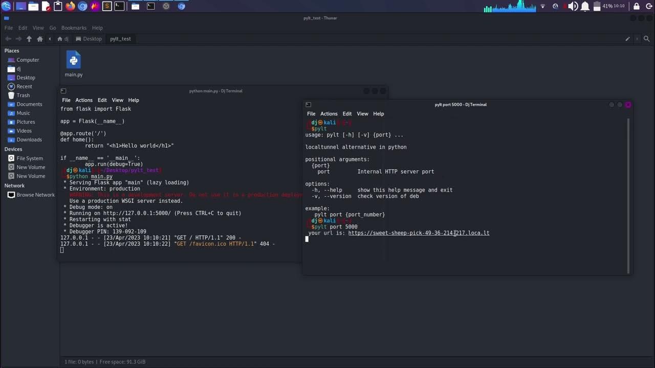 py-localtunnel : localtunnel client in python 🔥🔥 - YouTube