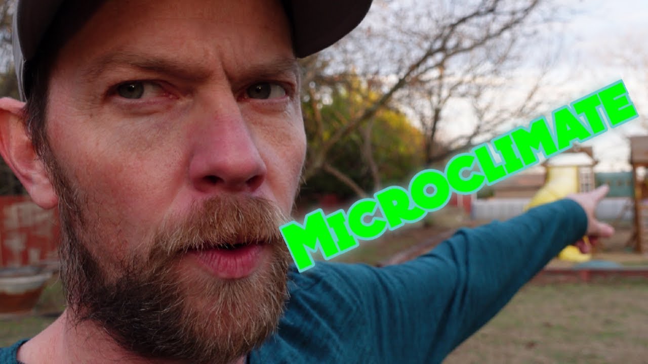 Microclimate - YouTube