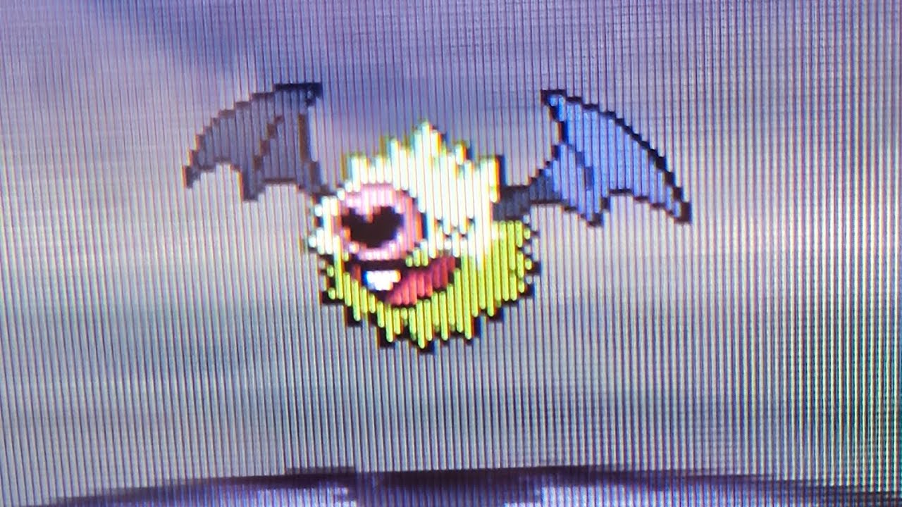 Shiny Woobat in Pokémon White - YouTube