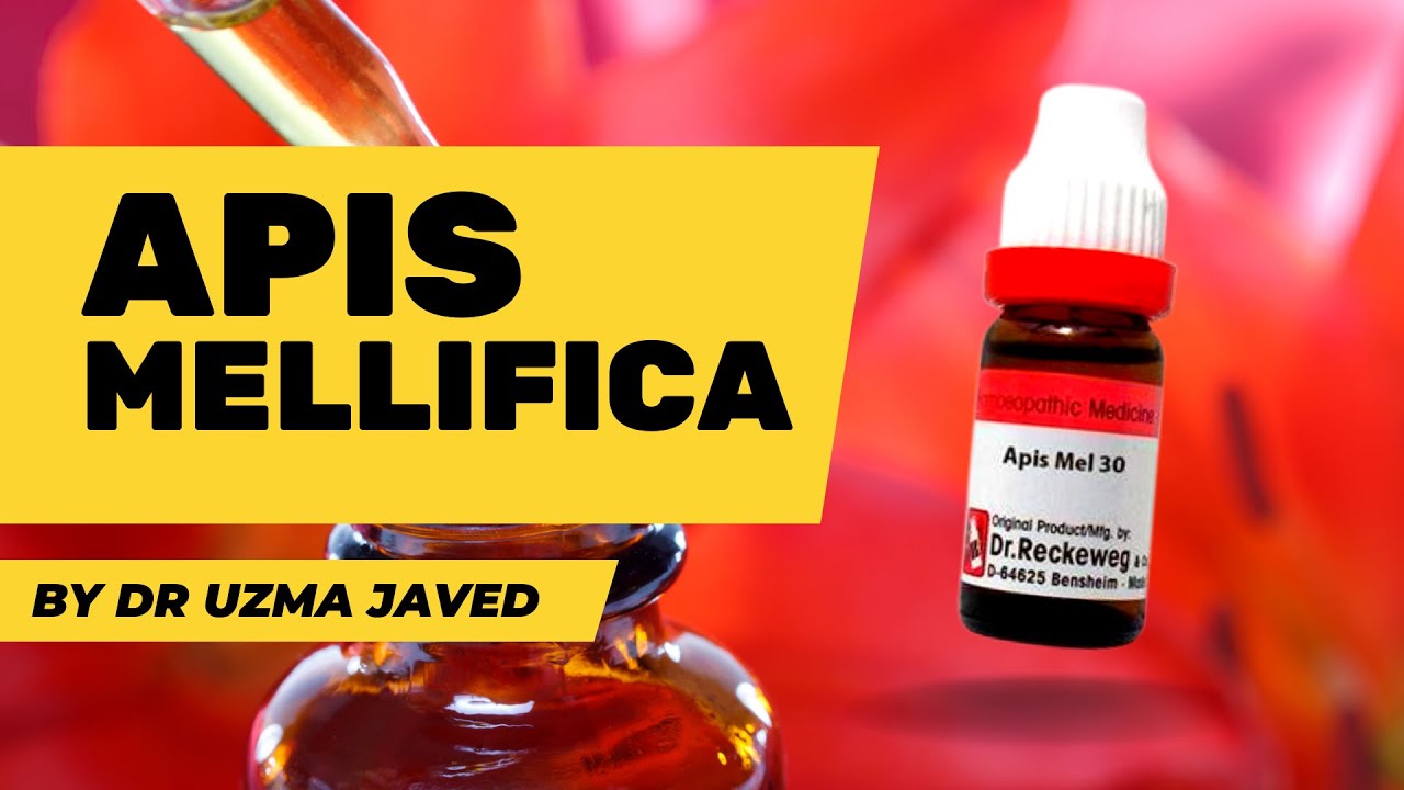 Apis Mellifica 30 Uses In Urdu/Hindi | Top Homeopathic Medicine For ...