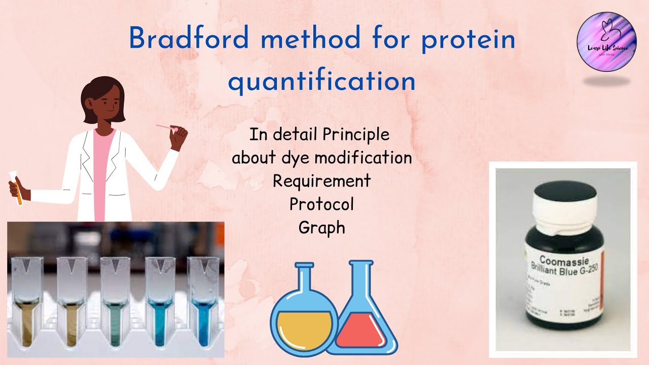 Protein Quantification Methods at Winnie Norris blog Protein Quantification Methods at Winnie Norris blog