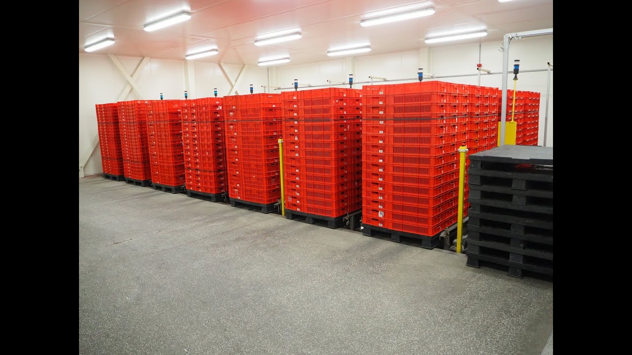 786-22: Viscon pallet outfeed / storage system for 28 pallets - YouTube
