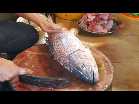 Amazing technique fish cutting skills best fishing cutting - YouTube