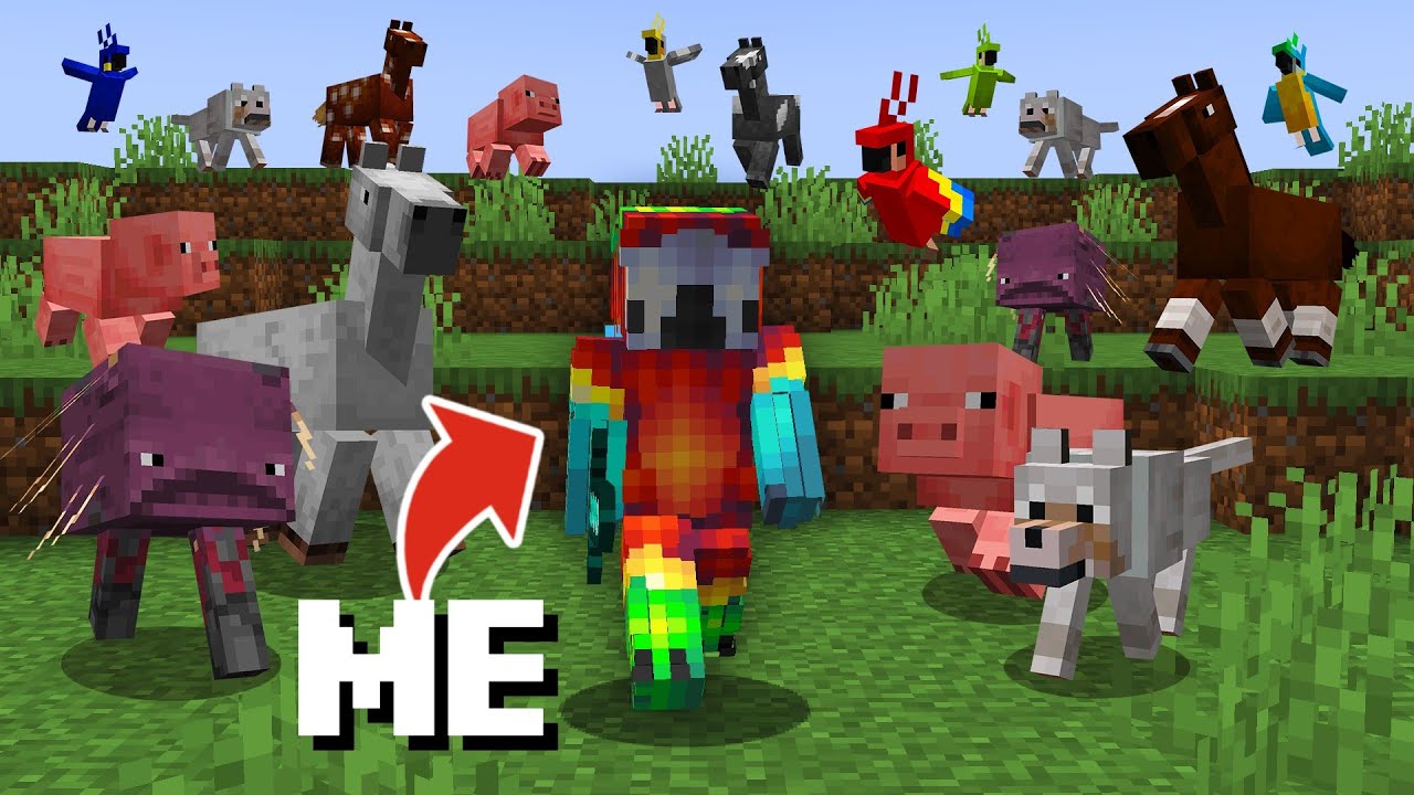 I Used Mobs To Win PvP - YouTube