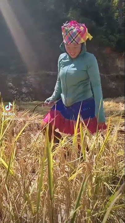 saib peb hlais nplej - YouTube