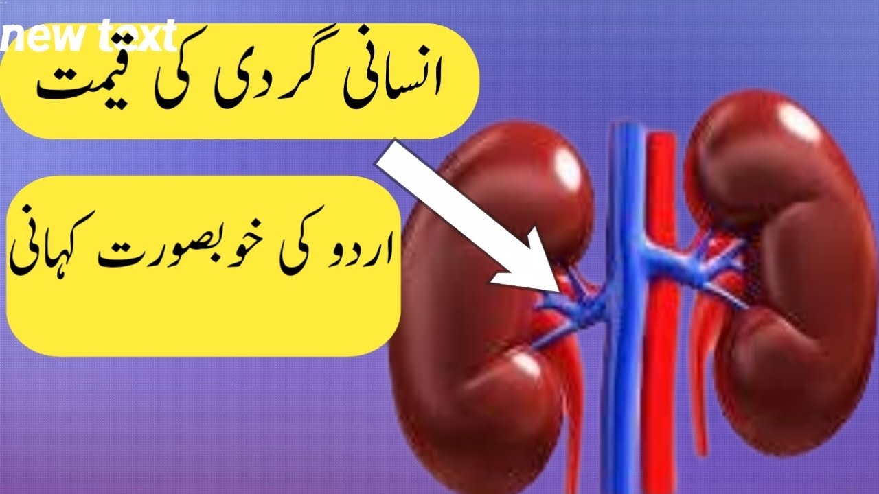 How Much Would You Get Paid To Give Someone A Kidney? - YouTube
