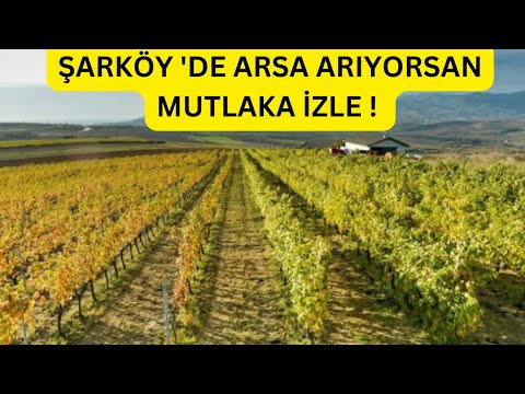 ŞARKÖY'DE ARSA ARIYORSAN MUTLAKA İZLE !!! #ARSA #ARAZİ #ŞARKÖY #TEKİRDAĞ #ÇANAKKALE #BİGA #konut