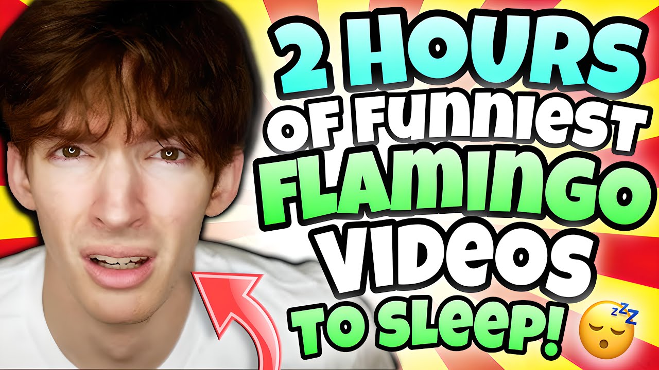 🌟2 HOURS🌟 Of Flamingo Roblox - Funniest Videos (Flamingo Marathon ...