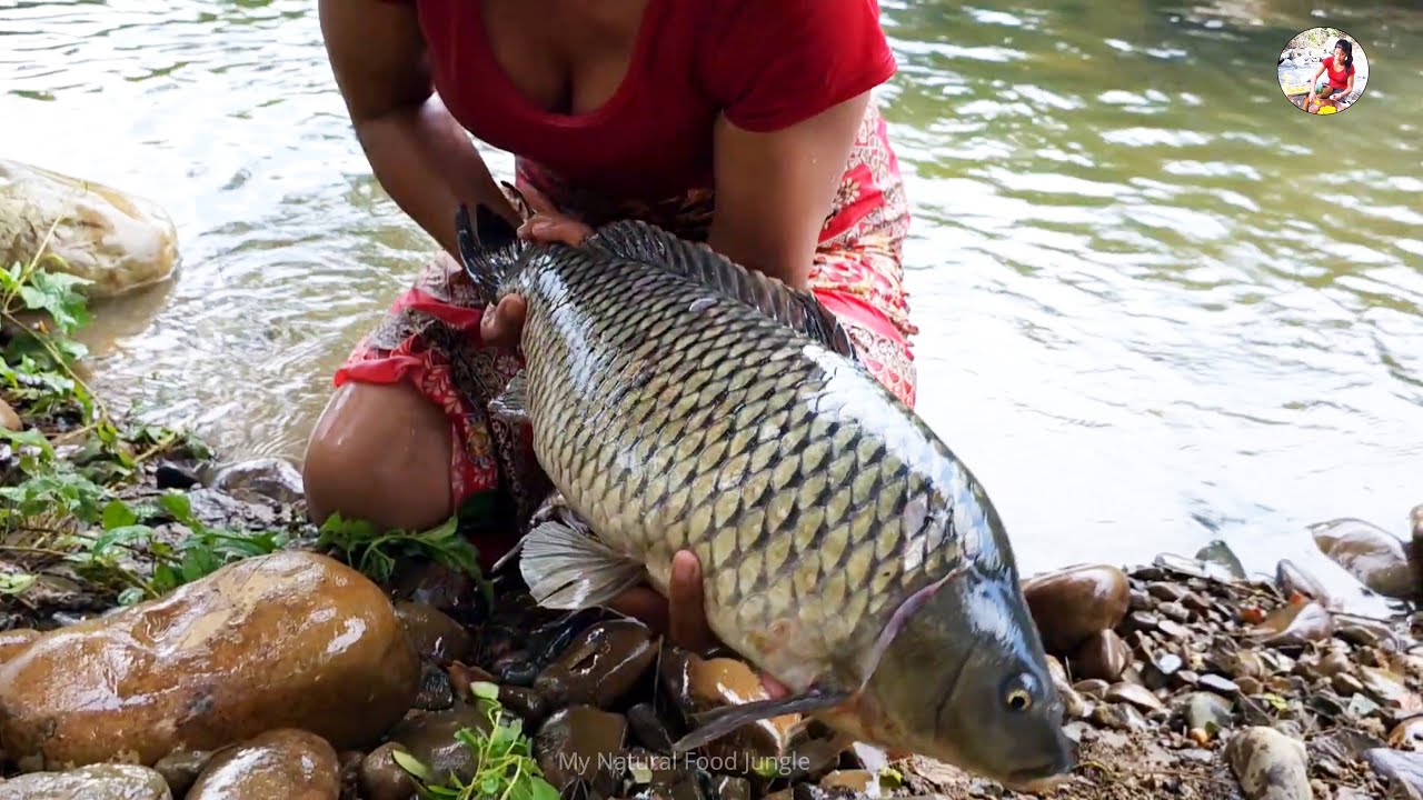 Wow Really Big Fish! Catching 10kg Fish and grilling for jungle Eating ...