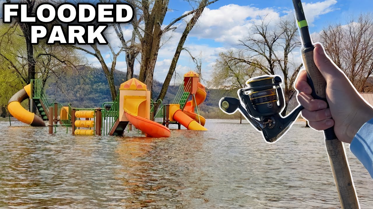 Can I catch a fish at a flooded park? - YouTube