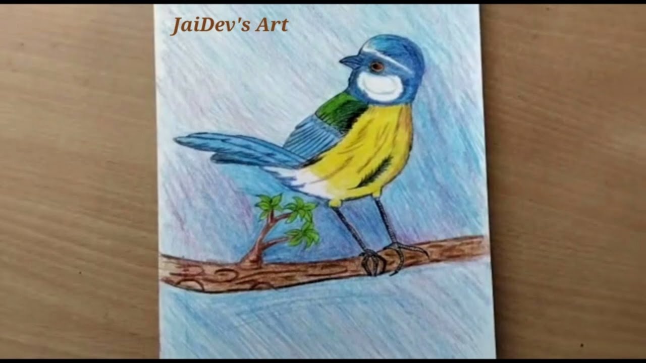How to draw a Blue bird with Colour pencils || Colour Pencil Sketch ...