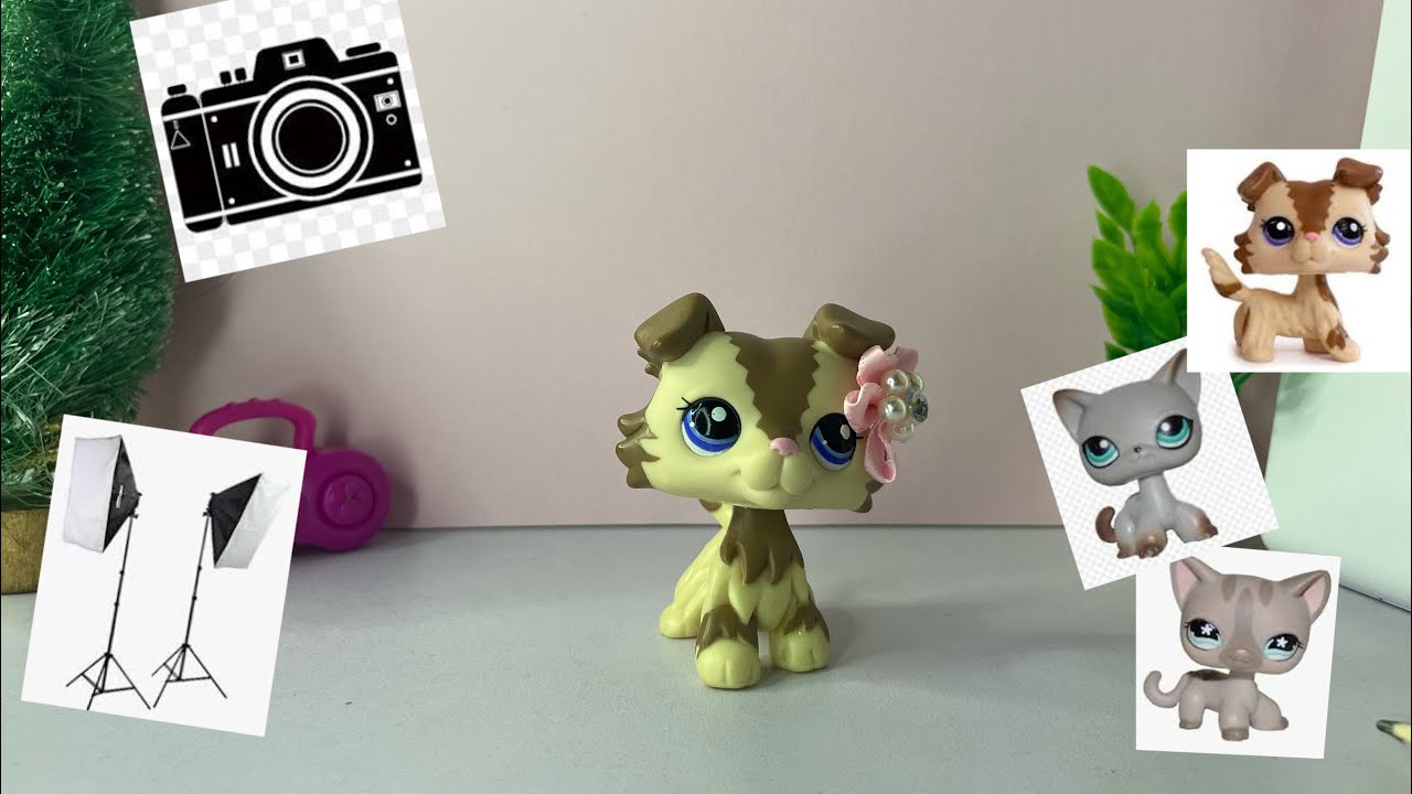 Tips for making a lps series/video - YouTube