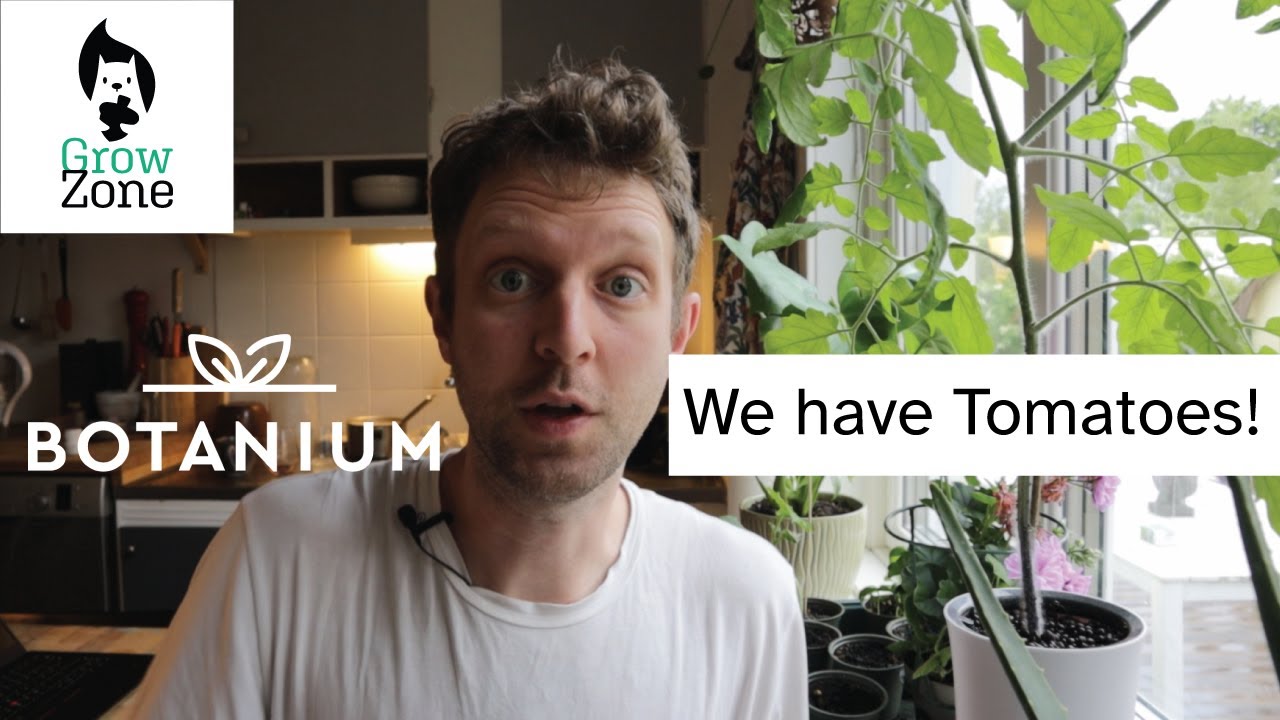 Botanium Self Watering Hydroponics Planter Week 8 Update - We have ...