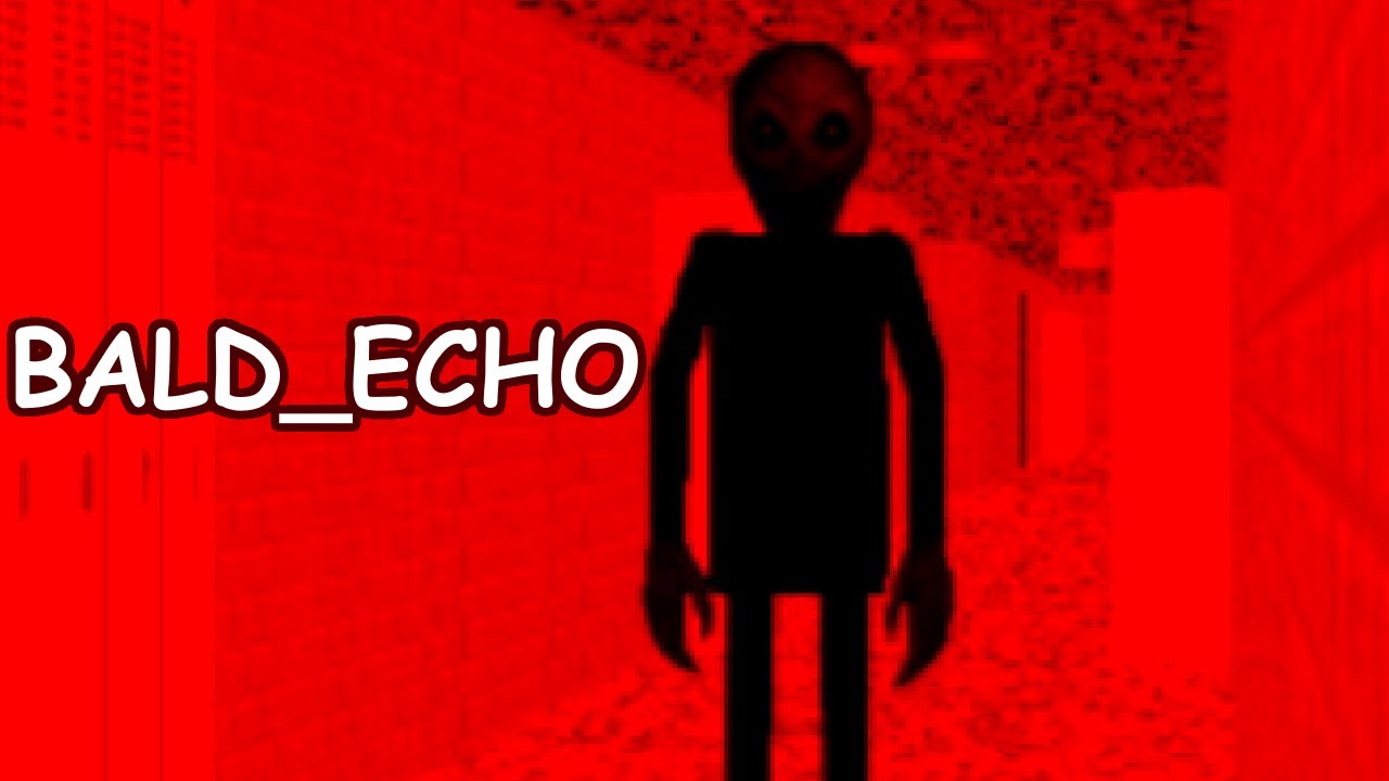 (20 subs special) BALD_ECHO (Baldi's Basics Horror Mod) - YouTube