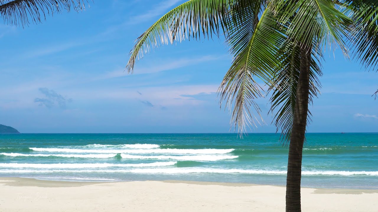 Peaceful Tropical Beach - 12 Hours of Relaxing Ocean Sounds for Sleep ...