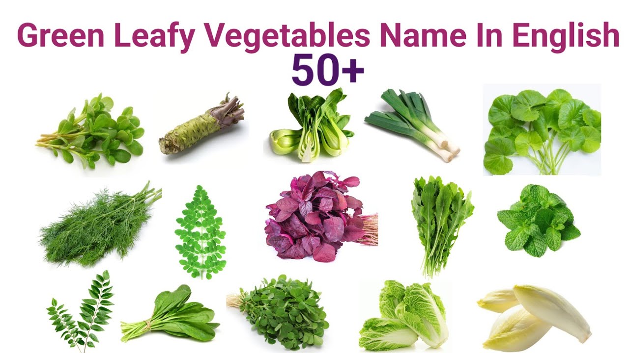 Greens Or Leafy Green Vegetables Name| Leafy Greens In English With ...
