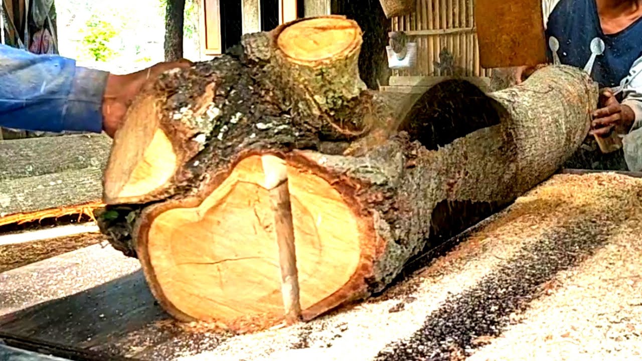 Kayu neraka gegerkan warga cara terbaik proses penggergajian kayu waru ...