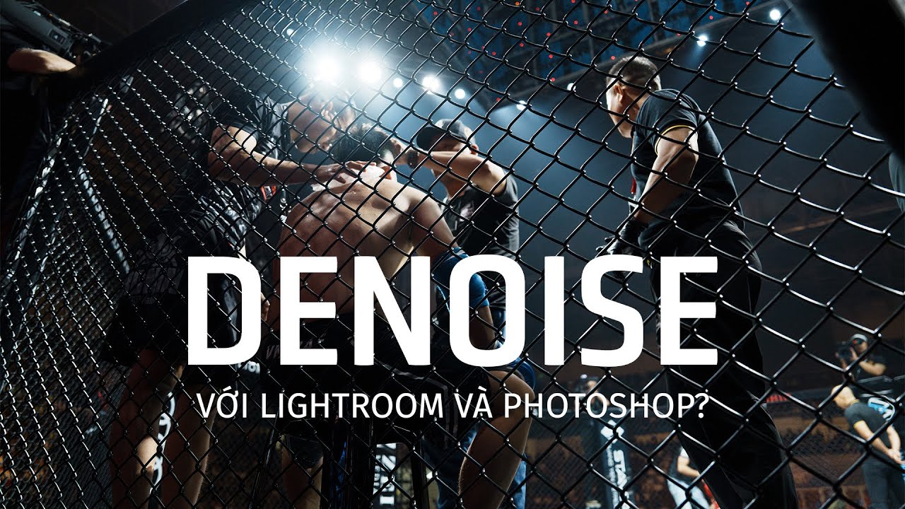 Denoise - Tính năng xử lý nhiễu ảnh mới trên Adobe Lightroom và Camera ...