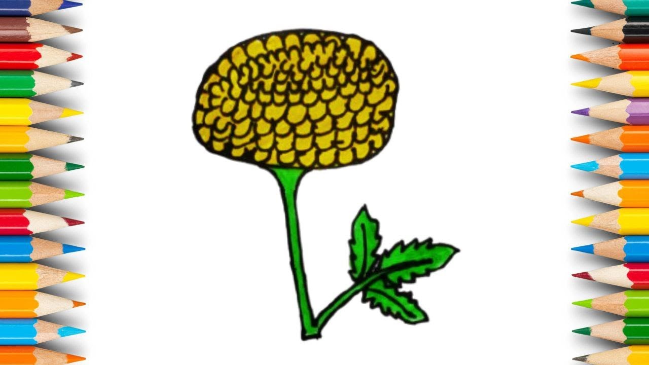 Drawing ghada full| ghada full akha| shohoje full akha - YouTube