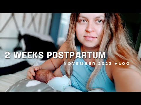 2 Weeks After Birth | Postpartum Vlog | New Parents - YouTube