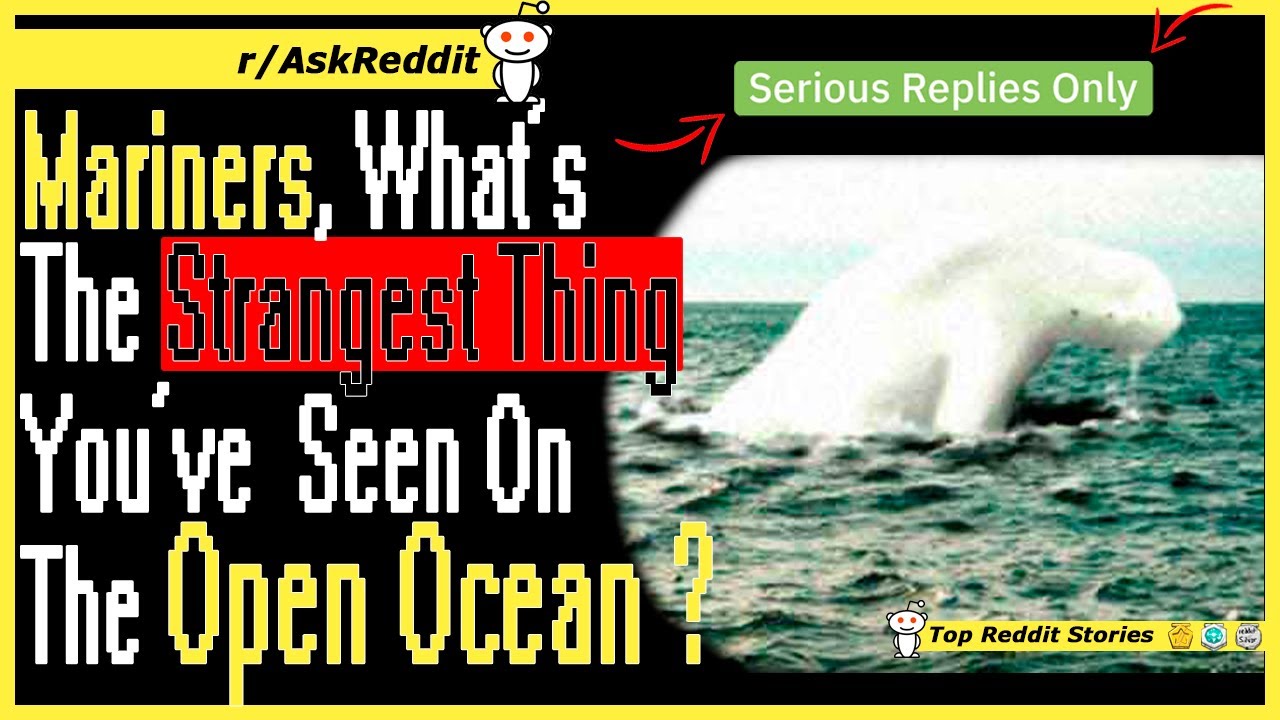 Mariners, What's The STRANGEST THING You've Seen On The Open OCEAN ...
