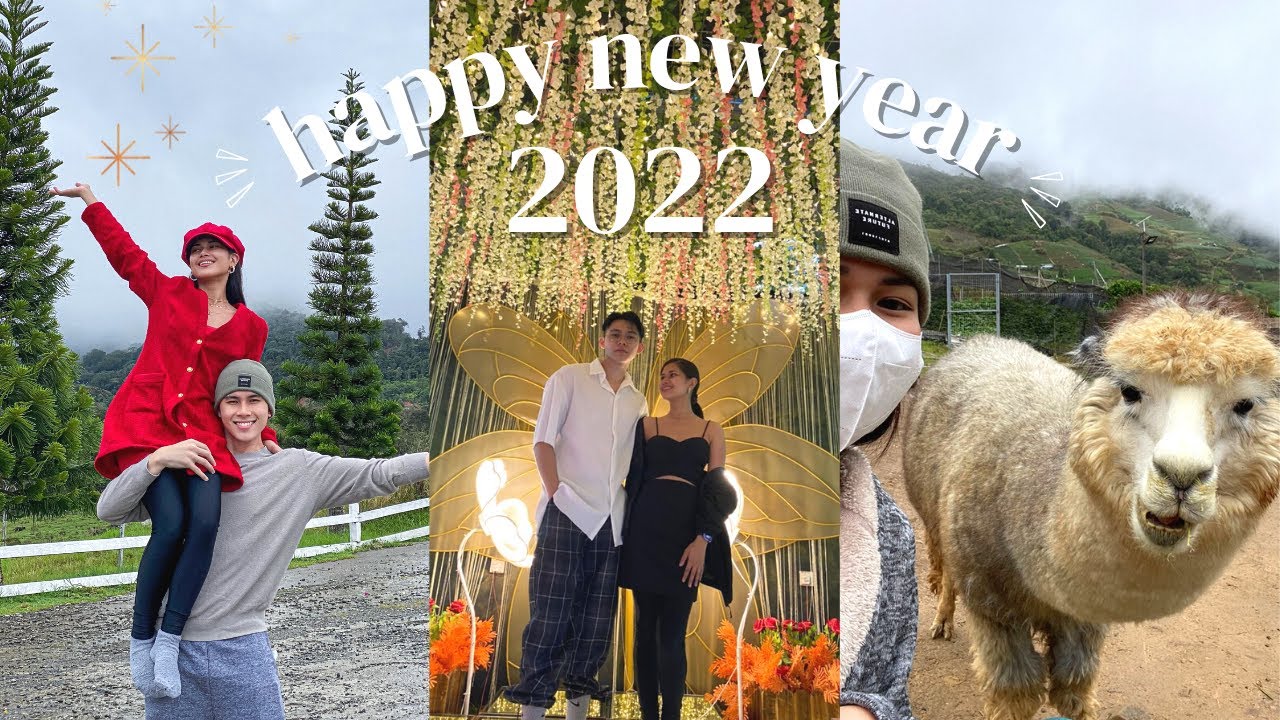 First Time Seeing Alpacas! New Year Vlog - YouTube
