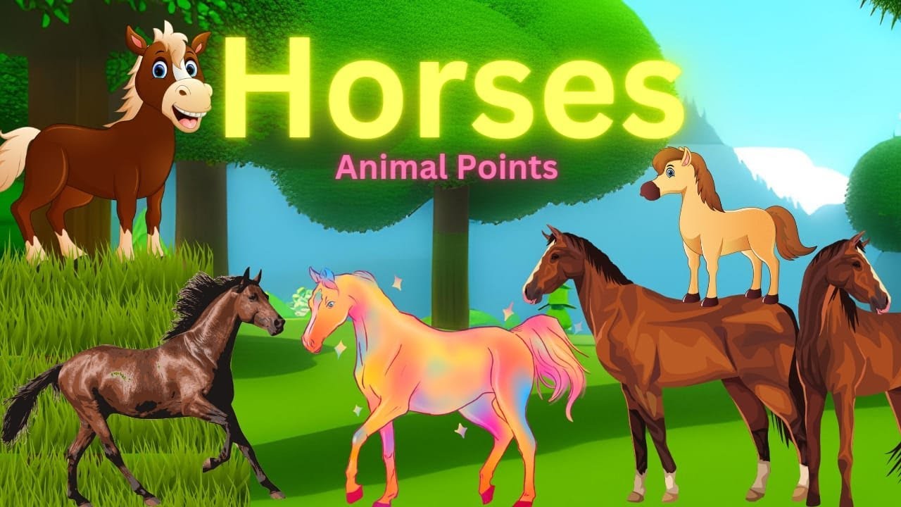 Secret Moments of the Horses Video || Animal Points - YouTube