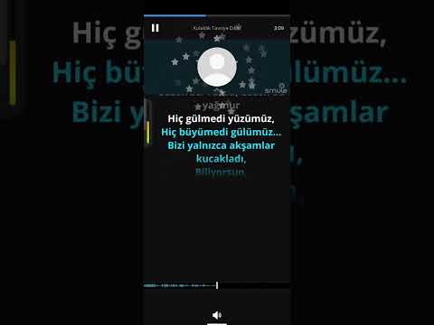 neylersin şiir karaoke Yusuf Hayaloğlu