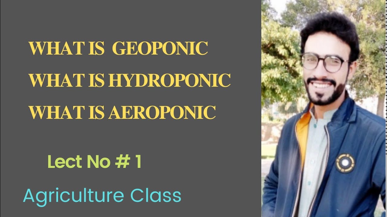 What is Geoponic and Hydroponic what is Aeroponic - YouTube