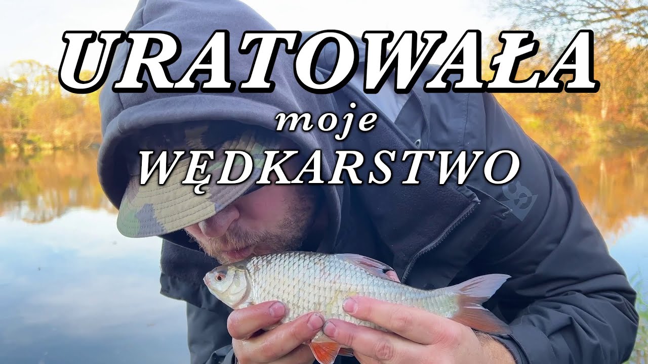 ODRA i KLASYCZNY FEEDER czyli WĘDKARSTWO UCZY CIERPLIWOŚCI - PŁOCIE i ...