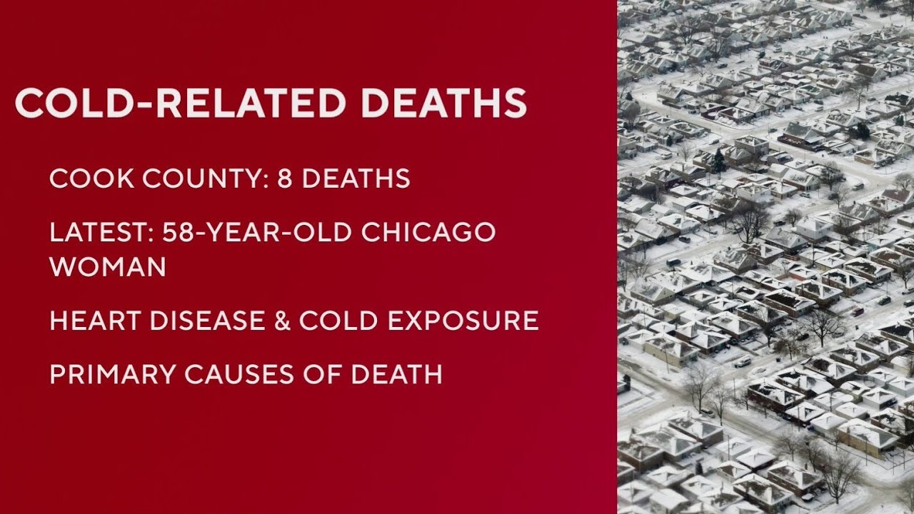Cook County reports another death due to cold exposure - YouTube