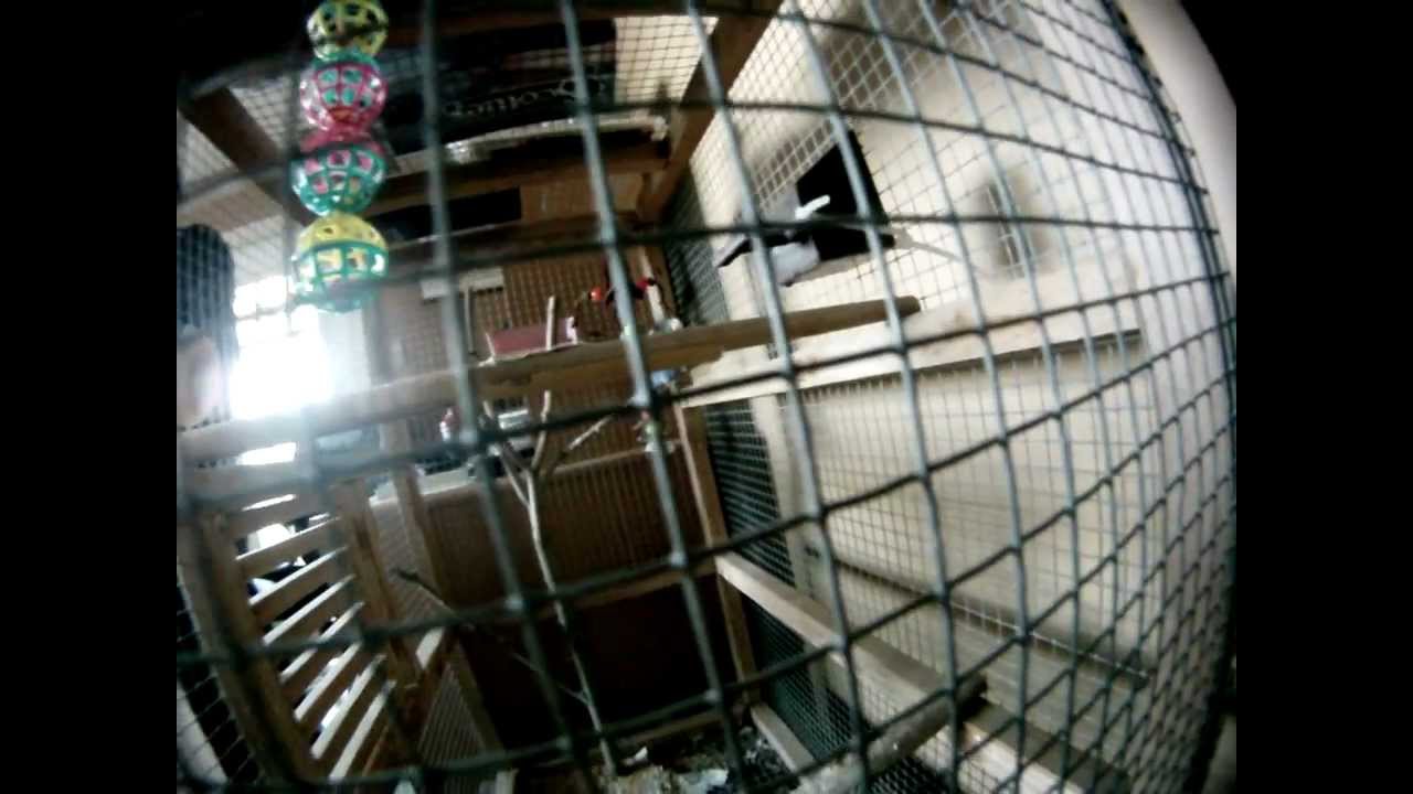 GoPro baby - YouTube