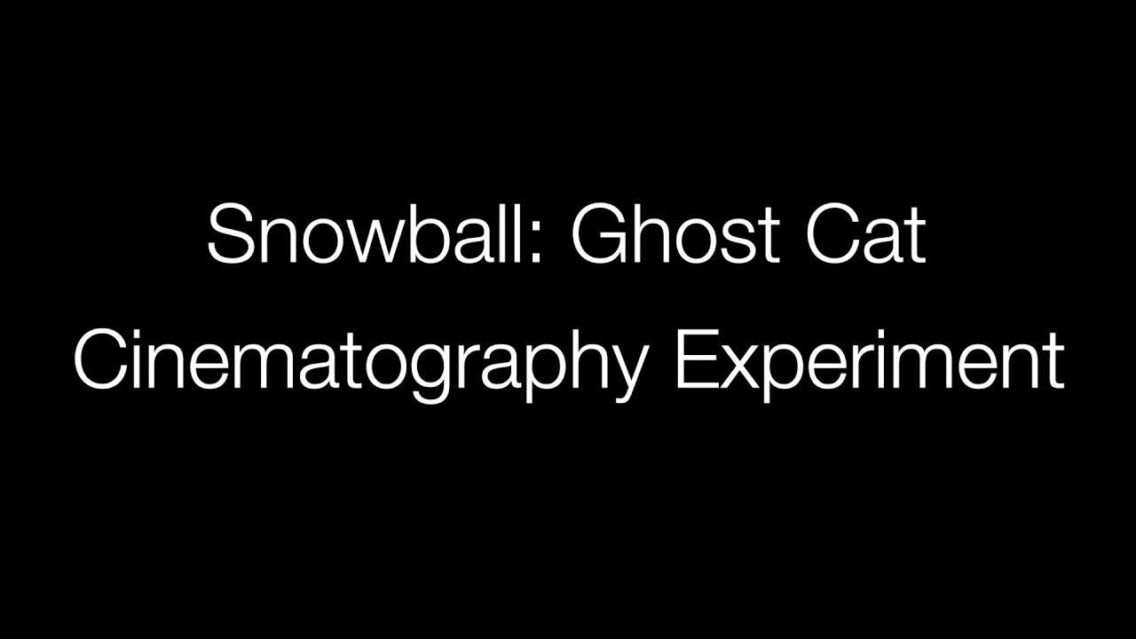 SnowBall: Ghost Cat cinematography experiment - YouTube