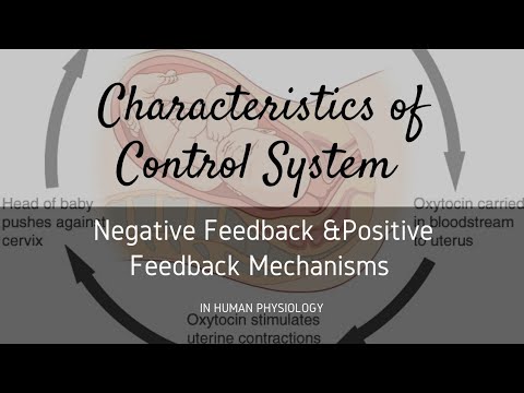 Characteristics of Control System (Negative & Positive Feedback ...