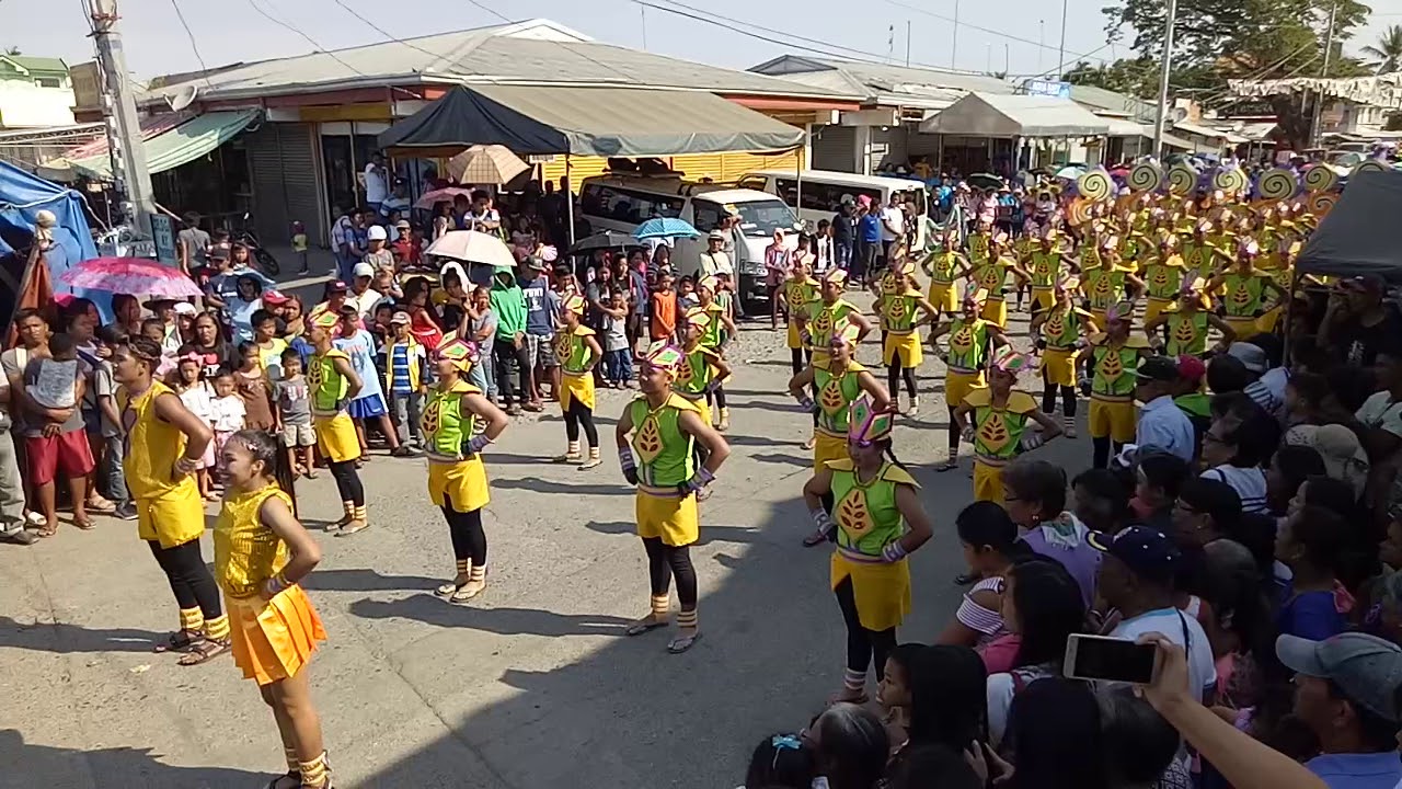 Pinilisa Festival 2019 Street Parade Performance // IJPLDCI (Tribu ...