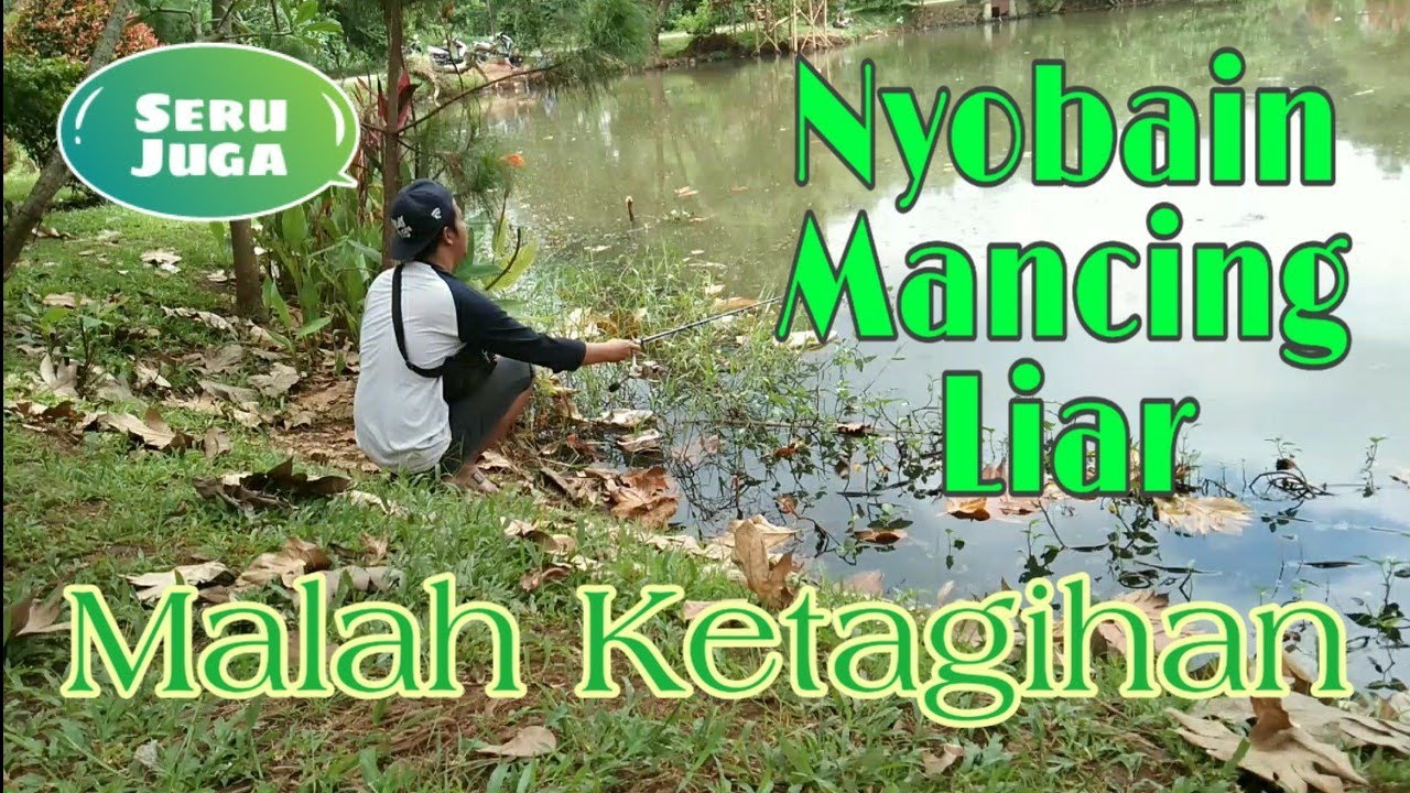 MANCING LIAR DANAU PERSARI - Strike Ikan Kocolan / Gabus Males - YouTube