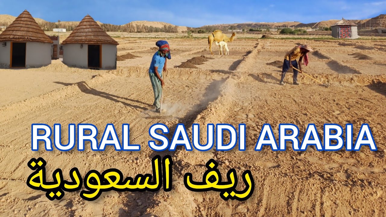 Unseen Rural Life In Saudi Arabia | الحياة الریفیةالسعودیة | Pure ...