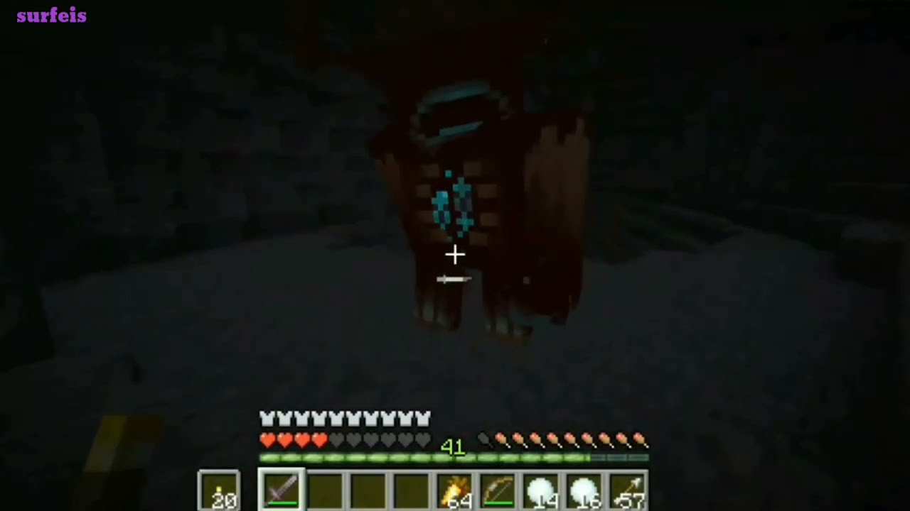 minecraft warden damage meme - YouTube