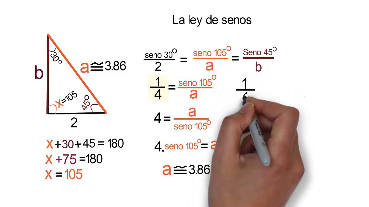 Ley De Los Senos: ¿Qué Es Y Cómo Se Aplica? – BDNE