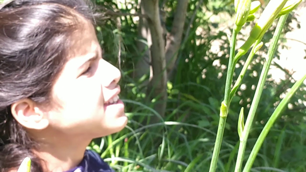 Jiya jiya re jiya re.....song sing by sarishti - YouTube