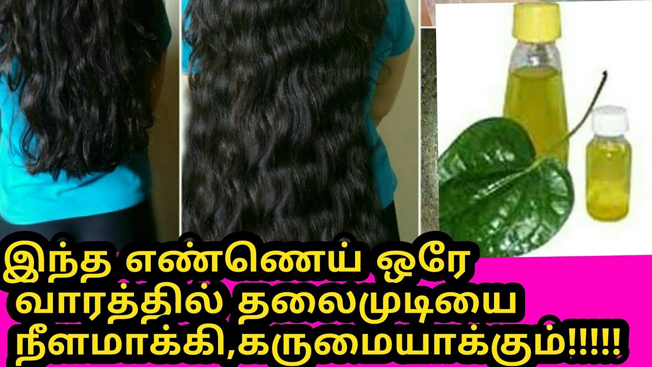 இந்த எண்ணெய் ஒரே வாரத்தில் தலைமுடியை நீளமாக்கி,கருமையாக்கும்.long hair ...