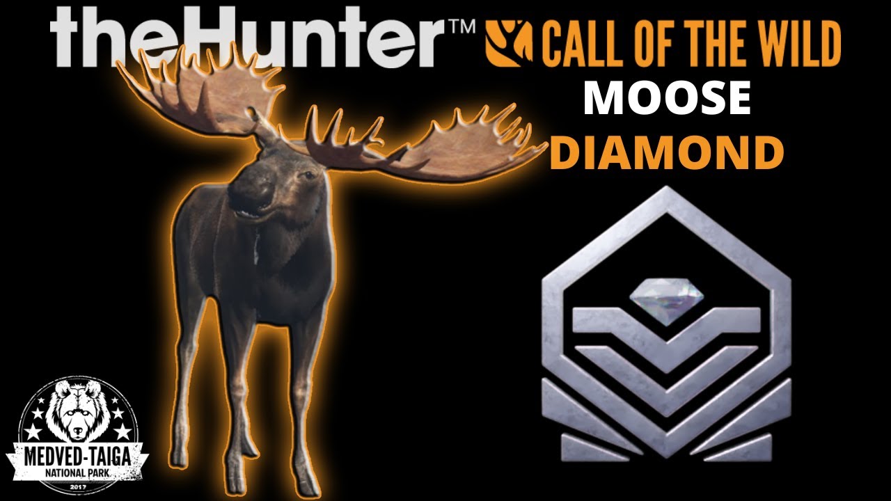 DIAMOND 😲 Moose (Brown) in theHunter Call of the Wild | MEDVED TAIGA ...
