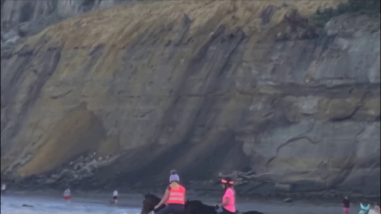 Shanklin cliff fall - 25th June 2020 - YouTube