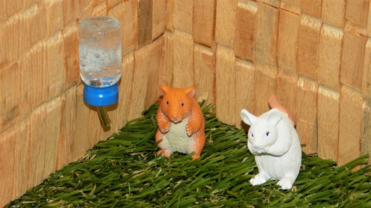 DIY Miniature Pet Stuff 🐶 How to Make Miniature Things - YouTube